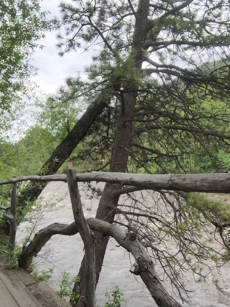 RUSTIC CABINS - Updated September 2025 - 31443 Poudre Canyon, Bellvue ...