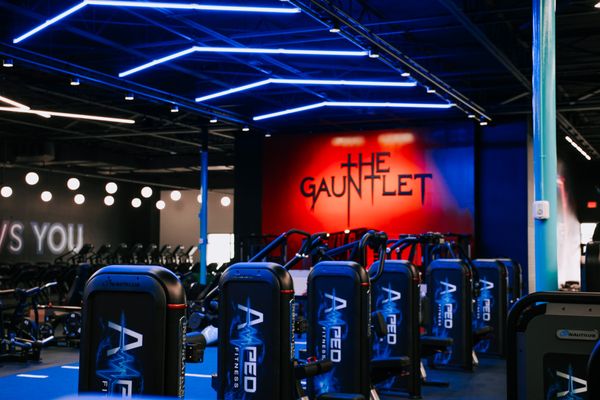 AMPED FITNESS - Updated January 2026 - 28 Photos - 8700 S Gessner Rd ...