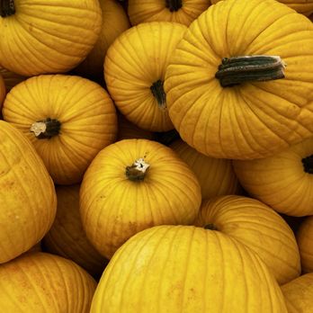 WEBER’S FARM - Updated September 2025 - 273 Photos & 162 Reviews - 2526 ...