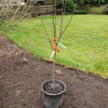 RESTORING EDEN - Updated April 2024 - 39 Photos & 30 Reviews - 3503 S ...