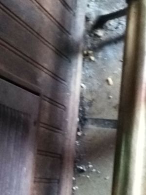 TWO TREES SPORTS BAR & GRILL - 5242 Slanting Bridge Rd, Denver, North ...