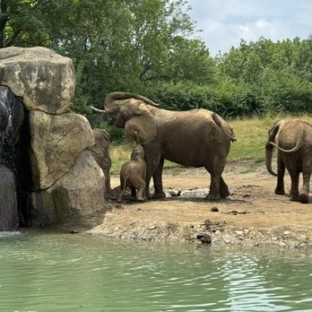 INDIANAPOLIS ZOO - Updated January 2025 - 2301 Photos & 463 Reviews ...