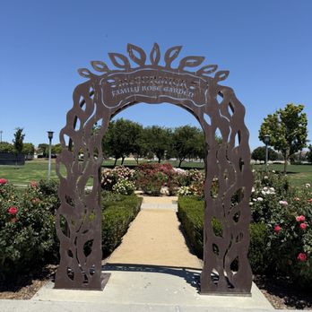 THE DUBLIN WAVE - Updated December 2025 - 223 Photos & 264 Reviews ...