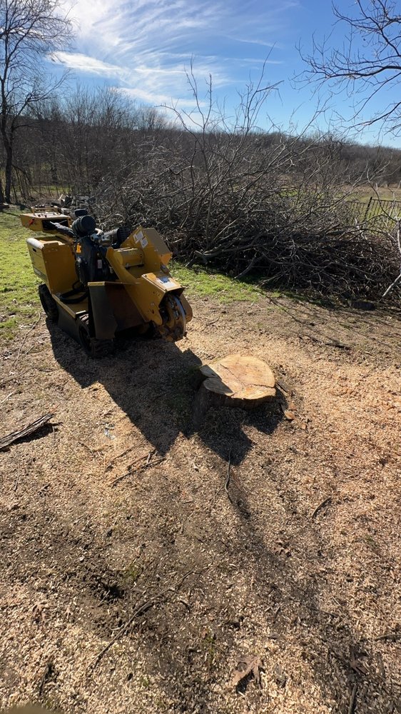 JR STUMP GRINDING - Updated October 2025 - Dallas, Texas - Tree ...