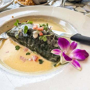 SOLUNA COCINA MEXICANA - Updated August 2024 - 552 Photos & 608 Reviews ...