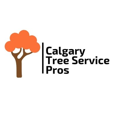 TREE SERVICE CALGARY - Updated January 2025 - 25 Photos - 538 ...