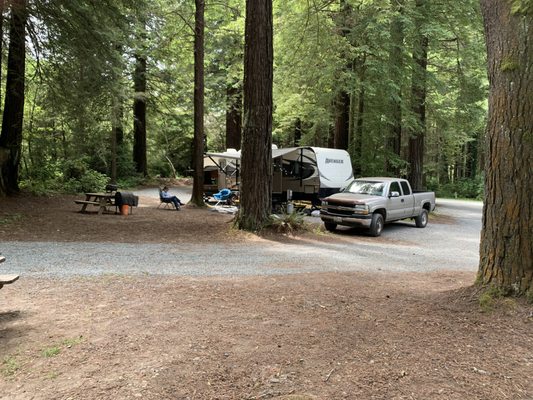 EMERALD FOREST CABINS & RV - 272 Photos & 338 Reviews - 753 Patricks ...