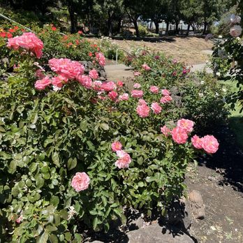 THE GARDENS AT HEATHER FARM - Updated December 2025 - 489 Photos & 103 ...