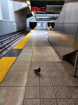 BART - SAN BRUNO STATION - Updated December 2025 - 170 Photos & 88 ...