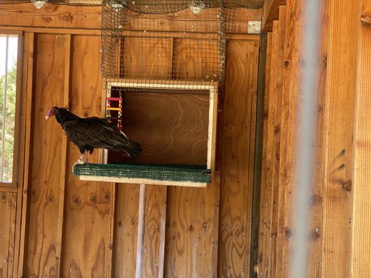 ANIMAL ARK - Updated September 2024 - 497 Photos & 150 Reviews - 1265 ...