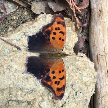 YMCA CAMP CLASSEN - Updated December 2025 - 19 Photos & 10 Reviews ...