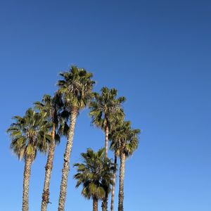 SHORECLIFFS GOLF CLUB - Updated December 2025 - 89 Photos & 262 Reviews ...