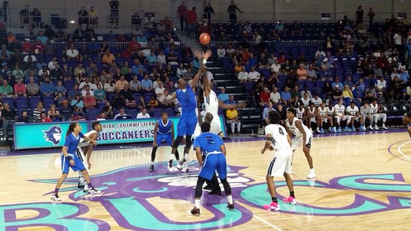 SUNCOAST CREDIT UNION ARENA - Updated September 2024 - 16 Photos ...