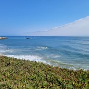 LIGHTHOUSE FIELD STATE BEACH - 466 Photos & 137 Reviews - 701 W Cliff ...