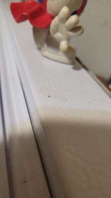 AWI MANAGEMENT CORPORATION - Updated March 2025 - 13 Photos & 11 ...