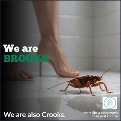 BROOKS PEST CONTROL - Updated October 2025 - 55 Photos & 213 Reviews ...