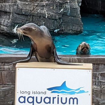 LONG ISLAND AQUARIUM - Updated August 2025 - 1177 Photos & 339 Reviews ...