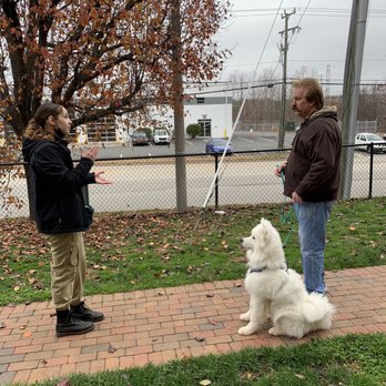 OLDE TOWNE PET RESORT - Updated May 2025 - 118 Photos & 212 Reviews ...