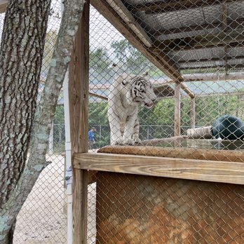 OCTAGON WILDLIFE SANCTUARY - Updated October 2025 - 213 Photos & 45 ...