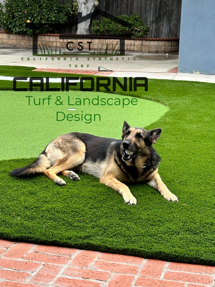 CALIFORNIA TURF & LANDSCAPE DESIGN - Updated 05/2025 - 23 Photos ...