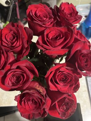 FIESTA MART #46 - Updated June 2026 - 16 Photos & 17 Reviews - 275 NE ...