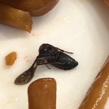 SINGAPORE SAM’S - Updated December 2025 - 31 Photos & 67 Reviews - 555 ...