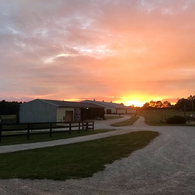 WILD ROSE EQUESTRIAN CENTER - Updated October 2025 - 589 Franklin Ln ...