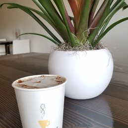 LONGEVITY COFFEE - Updated March 2025 - 899 Photos & 430 Reviews - 2849 ...