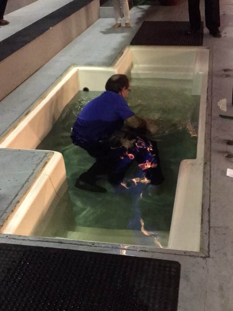 TRINITY EPISCOPAL CHURCH - Updated October 2024 - 401 N Main Ave ...