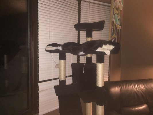 UNCLE WIENER’S WHOLESALE - Updated March 2025 - 11 Photos & 58 Reviews ...