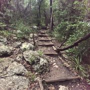 RIVER PLACE NATURE TRAIL - 383 Photos & 198 Reviews - Hiking - 8830 Big ...