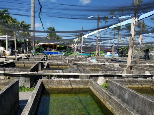 NEIGHBORHOOD FISH FARM - 67 Photos & 58 Reviews - Local Fish Stores ...