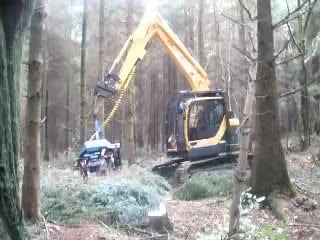 DAVID SUSEN FORESTRY SOFTWARE - Updated November 2024 - 49 Mackenzie ...