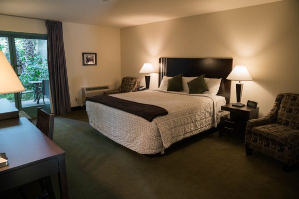 LEMON TREE INN - Updated December 2025 - 280 Photos & 389 Reviews ...