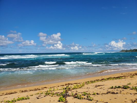 HIPI CACHE - 92 Photos & 36 Reviews - Carretera 187 Km 4.5, San Juan ...