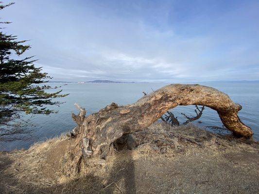 COYOTE POINT RECREATION AREA - Updated October 2025 - 242 Reviews & 678 ...