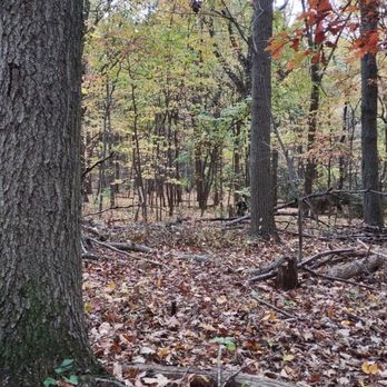 WELSH PARK - Updated July 2025 - 10 Photos - 36 Gordon Ave, East ...