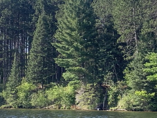 ALCONA PARK - Updated January 2026 - 48 Photos - 2550 Au sable River Rd ...