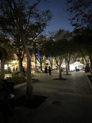 CLEMATIS STREET - Updated December 2025 - 96 Photos & 19 Reviews ...