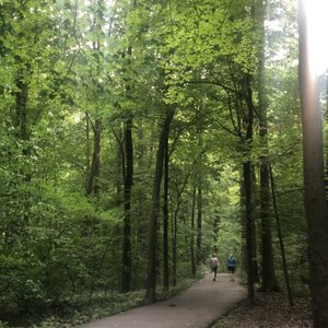 RAINTREE PARK - 30 Photos & 13 Reviews - 3775 John R Rd, Troy, Michigan ...