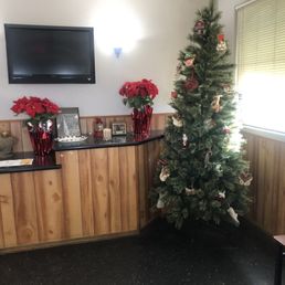 ASIAN STAR RESTAURANT - Updated July 2025 - 25 Photos & 40 Reviews ...