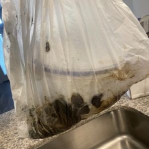 THE COVE AT GYB - Updated October 2025 - 15 Photos - 601 N Holiday Dr ...