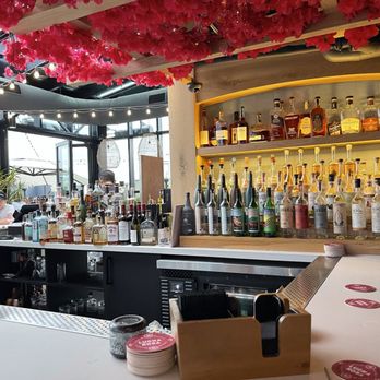 LUCHA ROSA ROOFTOP BAR - Updated May 2025 - 241 Photos & 107 Reviews ...