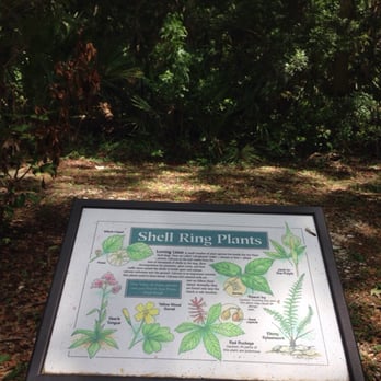 NATIVE AMERICAN SHELL RING - Updated December 2025 - 13 Photos - Fish ...