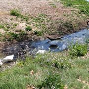 LINDO LAKE COUNTY PARK - 160 Photos & 37 Reviews - 12660 Lindo Ln ...