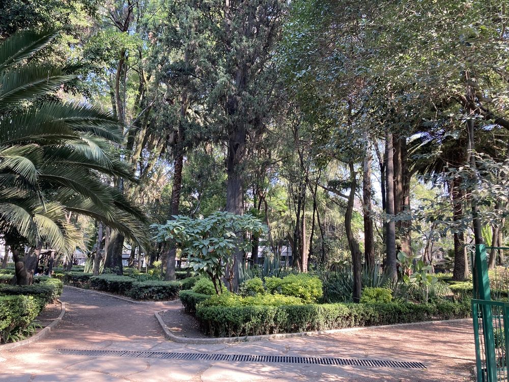 PARQUE MEXICO - 129 Photos & 26 Reviews - Av. México S/N, Ciudad de ...