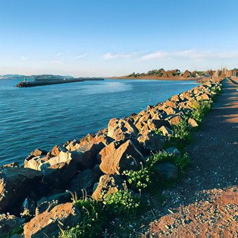 BERKELEY MARINA - Updated January 2026 - 529 Photos & 163 Reviews - 201 ...