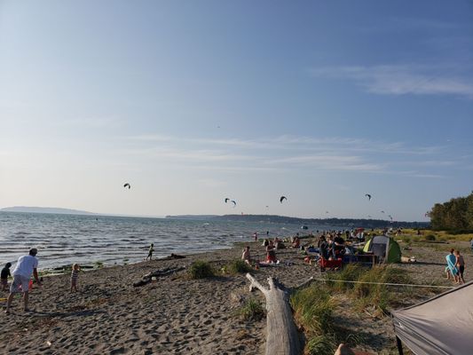 JETTY ISLAND - 77 Photos & 31 Reviews - 10th St & W Marine View Dr ...