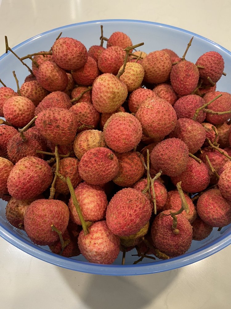 NAGA GARDENS - Updated June 2024 - 3160 D Rd, Loxahatchee, Florida ...