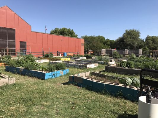 ZULA B. WYLIE PUBLIC LIBRARY - Updated October 2025 - 26 Photos - 225 ...